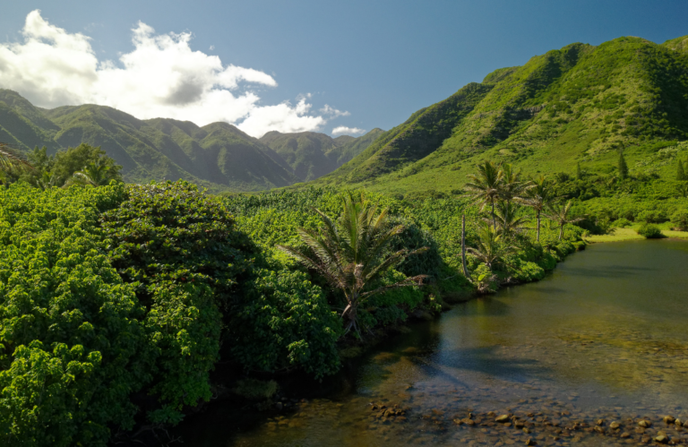 5 Must Visit Molokai Attractions