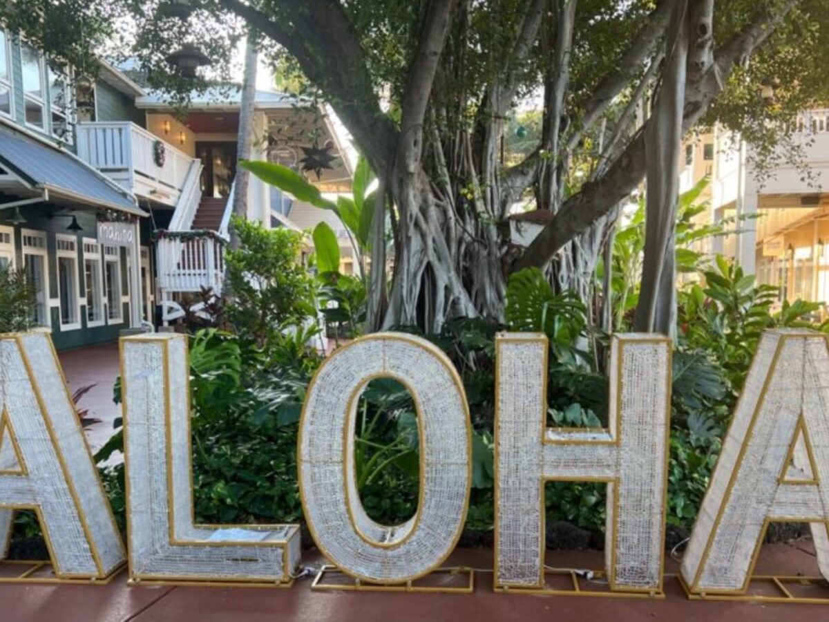 xoHawaii | More Aloha... More Often